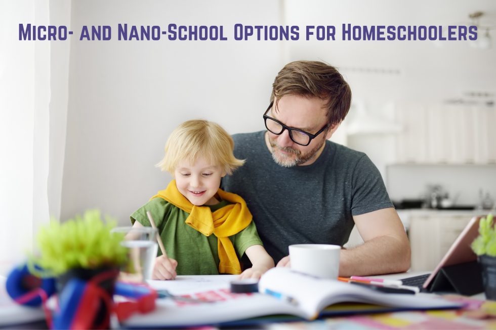 Micro- and Nano-School Options for Homeschoolers - Global Student Network
