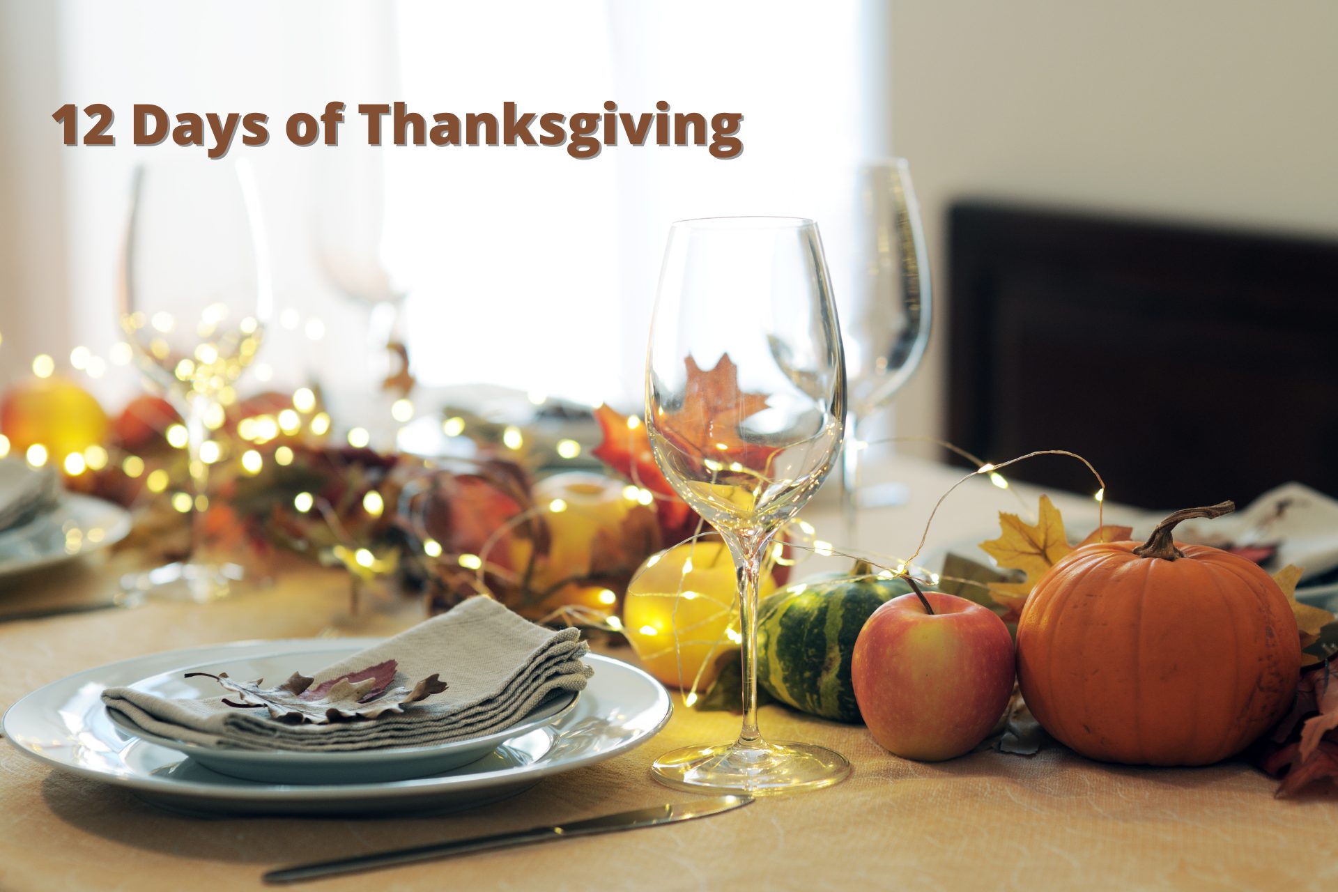 12 Days of Thanksgiving - Global Student Network