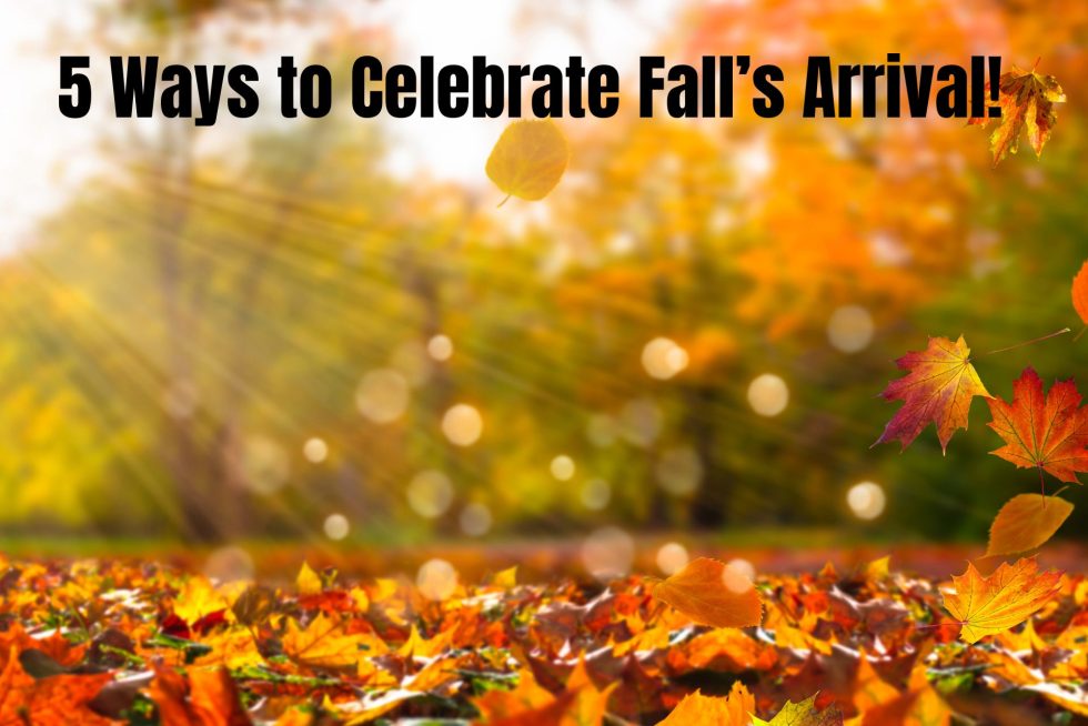 5 Ways to Celebrate Fall’s Arrival! - Global Student Network