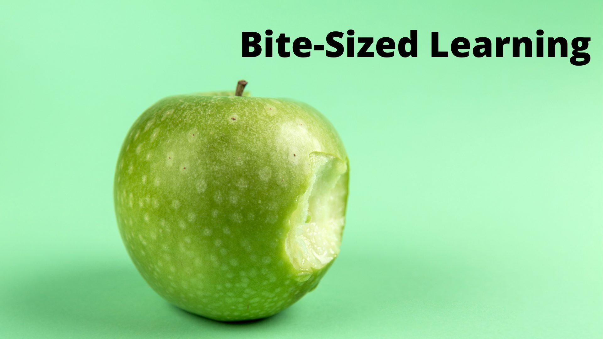 Bite-Sized Learning - Global Student Network