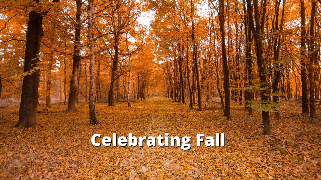 Celebrating Fall - Global Student Network
