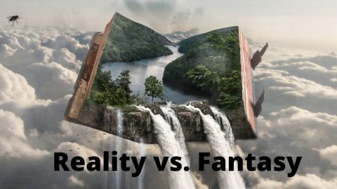 Reality vs. Fantasy - Global Student Network