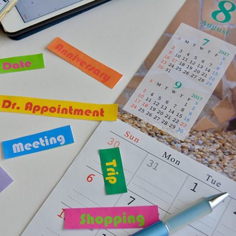 Homeschooling: Online Homeschool Programs, Curriculum, Courses | GSN