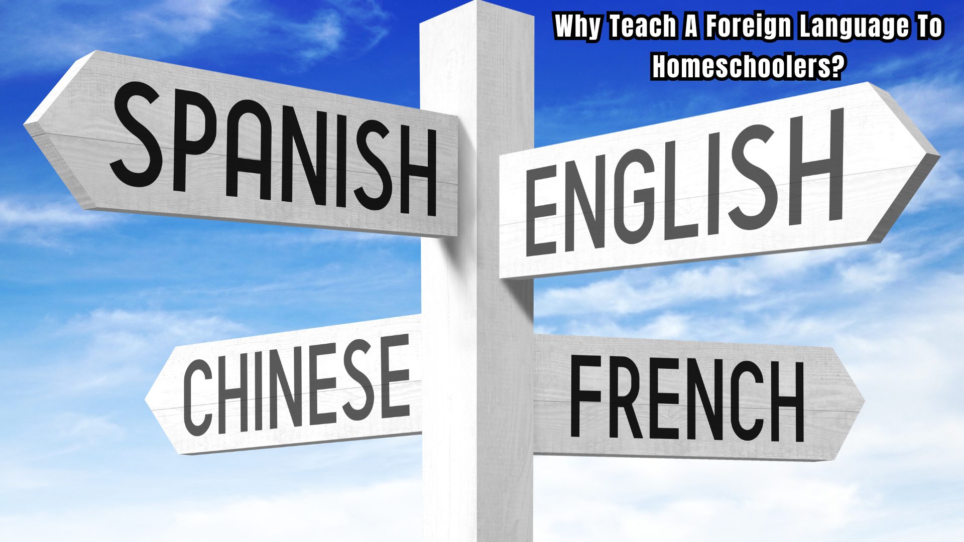 Why Teach A Foreign Language To Homeschoolers? - Global Student Network
